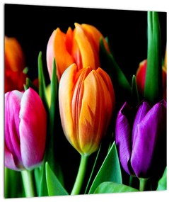 Obraz tulipánů na černém pozadí (30x30 cm)