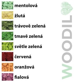 WOODILO Lišejníková dekorace v šedém dřevěném květináči | stabilizovaný sobí mech Barva lišejníku: mentolová, Průměr misky: 18 cm