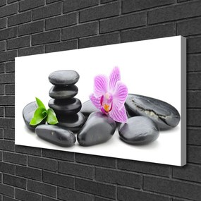 Obraz na plátně Květ Kameny Umění 140x70 cm