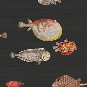 Tapeta ACQUARIO 10048, kolekce FORNASETTI SENZA TEMPO