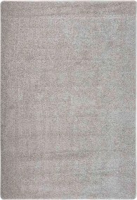 Koberec s dlouhým vlasem světle šedý 120 x 170 cm protiskluzový 340383