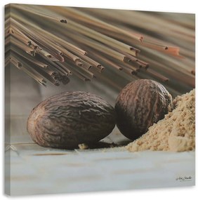 Gario Obraz na plátně Dva hnědé ořechy Rozměry: 30 x 30 cm