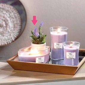 WoodWick – svíčka Lavender Spa (Levandulová lázeň), 453 g
