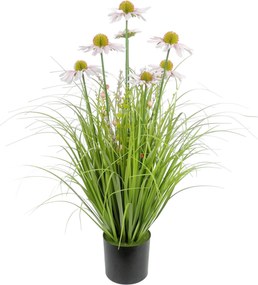 XXXLutz DEKORAČNÍ TRÁVA 67 cm - Dekorační tráva - 008384009601