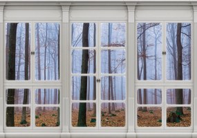 Fototapeta - Výhled z okna zahalený v mlze (152,5x104 cm)