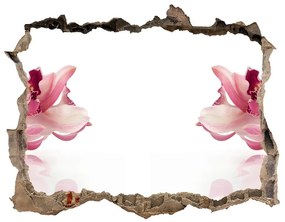 Wallmuralia Samolepící nálepka na zeď Orchidej 95x64 cm