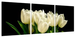 Obraz tulipánů  (90x30 cm)
