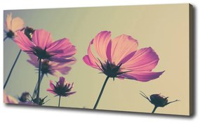 Wallmuralia Foto obraz canvas Růžové květiny 100x50