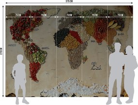 Fototapeta na míru Mapa Koření | Vliesová fototapeta na zed' | DFTNXXL2484