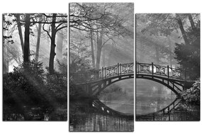 Obraz na plátně - Starý most  1139QC (105x70 cm)