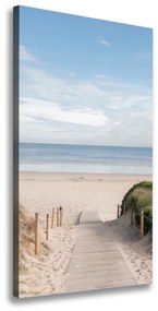Wallmuralia Vertikální Foto obraz na plátně Stezka na pláž 50x100