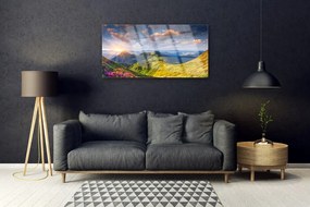 Plexisklo-obraz Hory Slunce Louka Krajina 100x50 cm