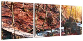 Obraz mostu - podzimní cesta lesem