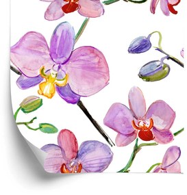 Tapeta Na Zeď Orchideje Orchideje Květiny Rostliny Vliesová tapeta 53x1000