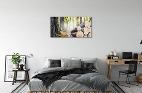 Obraz na skle Dříví prales přírodě 125x50 cm