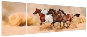 Obraz koní (170x50 cm)