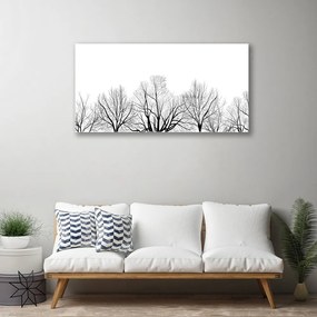 Obraz na skle Stromy Rostlina Příroda 100x50 cm
