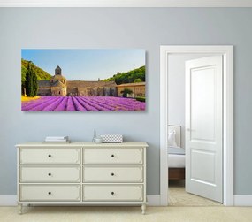 Obraz Provence s levandulovými poli Varianta: 100x50