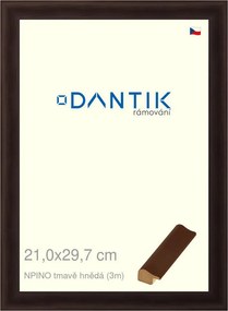 DANTIK rámeček 21x29,7 | NPINO tmavě hnědá (Sklo Čiré)