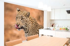 DIMEX | Samolepicí vliesová fototapeta na zeď Samice leoparda MA-5-0561 | 375 x 250 cm | béžová, černá, oranžová, hnědá