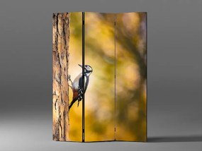Liox Paraván strakapoud na stromě Rozměr: 135 x 180 cm