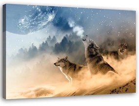 Obraz na plátně, Vlk v mlžném lese Příroda - 60x40 cm