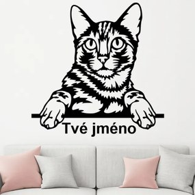 Samolepka Kočička s vlastním jménem