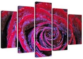Obraz na plátně pětidílný Červená růžová květina - 200x100 cm
