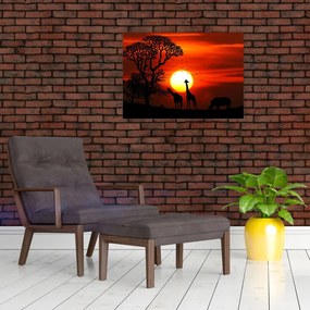 Skleněný obraz - Siluety zvířat při západu slunce (70x50 cm)