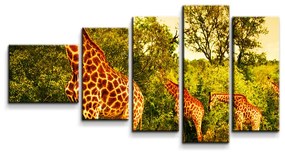 Sablio Obraz - 5-dílný Žirafy - 100x60 cm