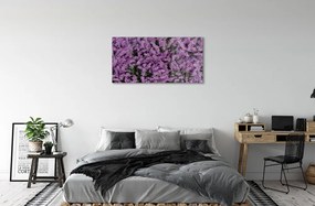 akrylový obraz fialové květy 100x50 cm