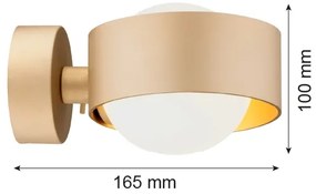 Argon 8567 - Koupelnové nástěnné svítidlo MASSIMO PLUS 1xG9/6W/230V zlatá