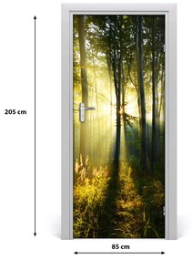 Fototapeta samolepící na dveře les příroda 85x205 cm