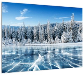 Skleněný obraz zamrzlého jezera a zasněžených stromů (70x50 cm)