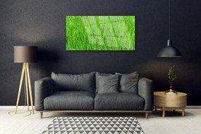 Obraz na skle Zelená Tráva Příroda Trávník 100x50 cm