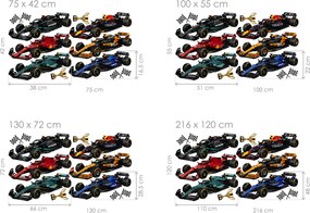 Barevné formule F1 automobilové samolepky na zeď arch 75 x 42 cm