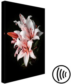 Obraz Bílé lilie (1 díl) - Krása květů ve tmavém světle přírody