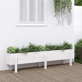 Zahradní vyvýšený záhon bílý 160 x 30 x 38 cm masivní borovice,  825192