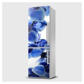 E-shop24, Pi51SL1236, Rozměr 65x180 cm, Fototapeta samolepící na lednice - Orchidej modrá