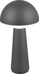 XXXLutz VENKOVNÍ LED SVÍTIDLO, 16/31 cm - 007694037204