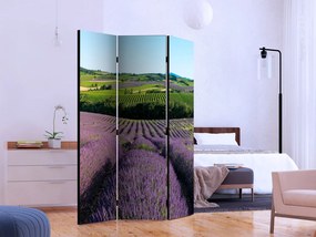 Pokojová zástěna Levandulová pole (3-dílný) - Provensálská krajina s fialovými květy