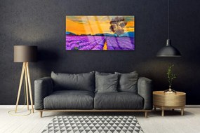 akrylový obraz Pole Krajina 100x50 cm