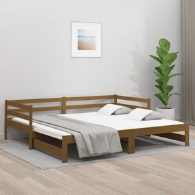 vidaXL Výsuvná postel 2x (90 x 190) cm masivní borovice [814657] Barva: medová hnědá
