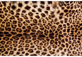 Vliesová fototapeta Leopardí kůže 375 x 250 cm + lepidlo zdarma / MS-5-0184 vliesové fototapety na zeď DIMEX