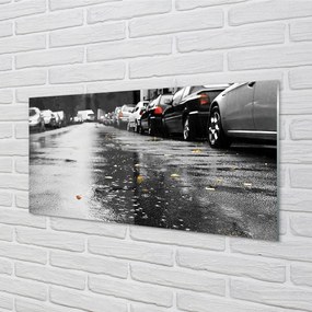 akrylový obraz Car podzimní listí silnice 140x70 cm
