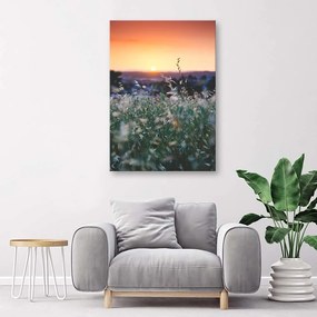 Gario Obraz na plátně Louka a západ slunce Rozměry: 40 x 60 cm