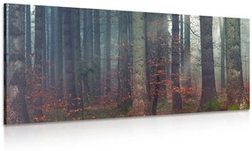 Obraz tajemství lesa Varianta: 120x60
