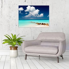 Skleněný obraz - Tropická pláž (70x50 cm)