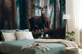 Samolepící fototapeta jelen v lese - 300x200 cm