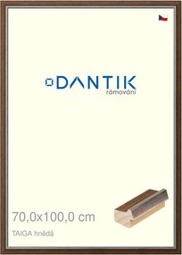 DANTIK rámeček 70x100 | TAIGA hnědá (Plexi Čiré)